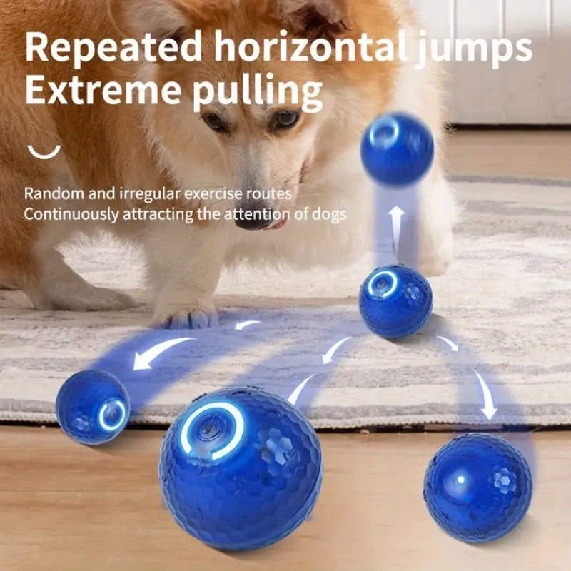 Smart Interactive Dog Toy LED Light Bouncing Active Rolling Ball – Wise ...