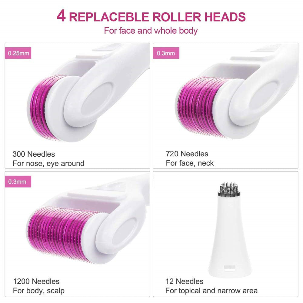 6 in 1 Micro Needle Anti Ageing Acne Wrinkle Massager Skin Care – Wise ...