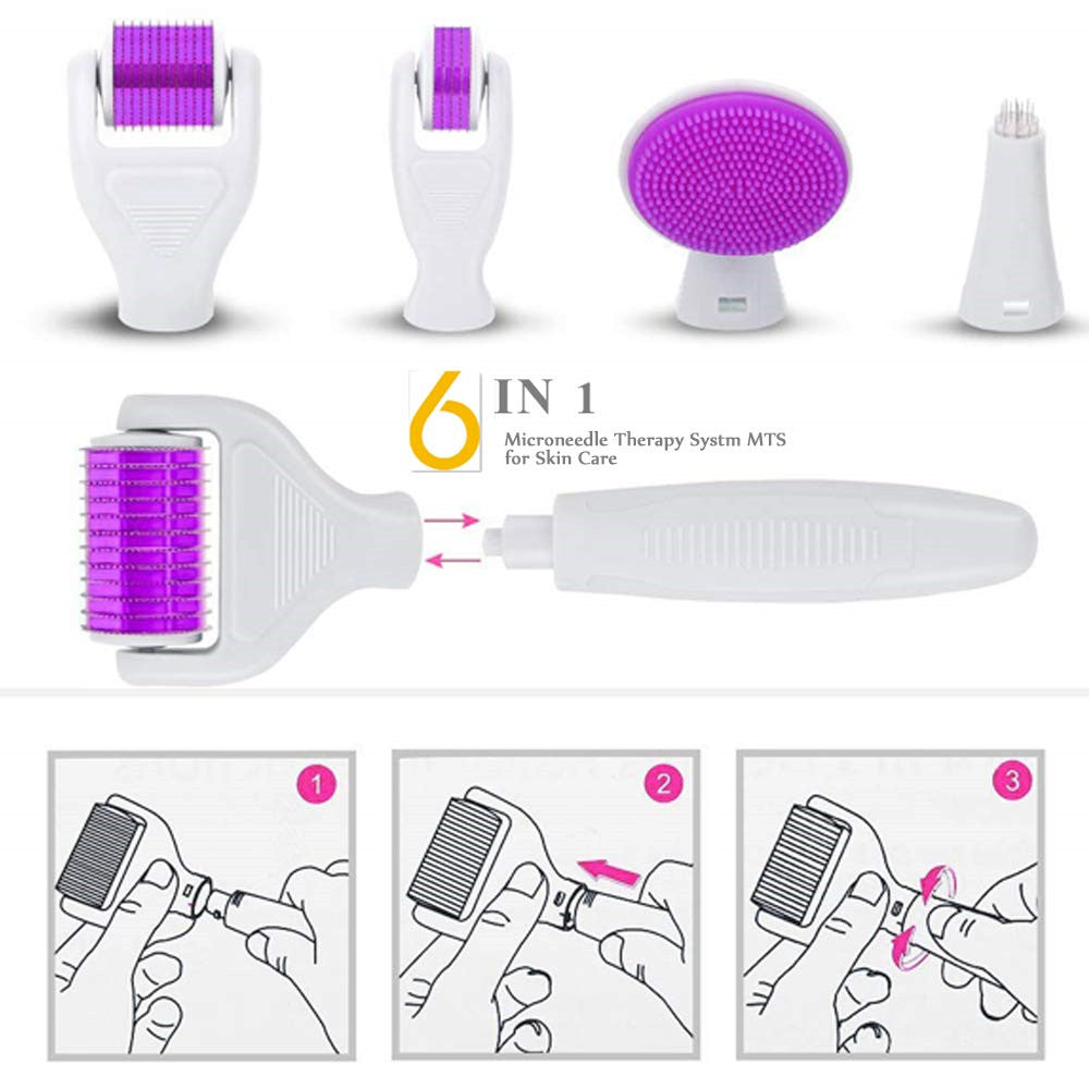 6 in 1 Micro Needle Anti Ageing Acne Wrinkle Massager Skin Care – Wise ...