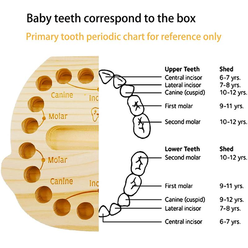 Kids Milk Teeth Storage Box Organizer – Wise Living NZ